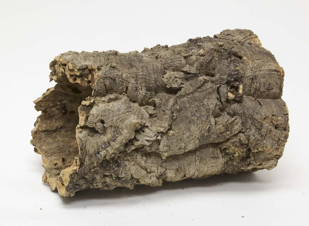 Zoo Med Natural Cork Bark Round Medium - Walmart.com