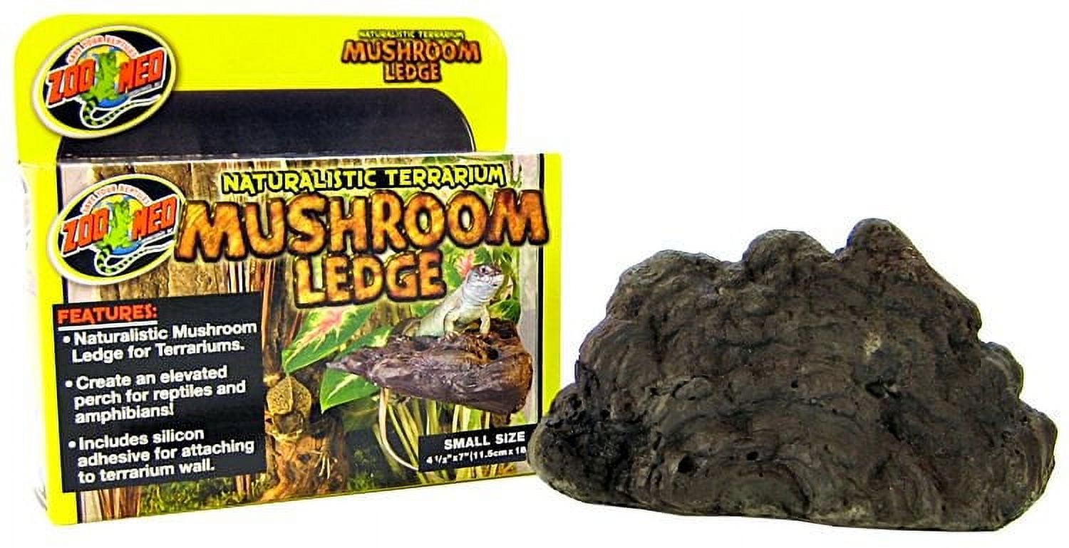 Zoo Med Naturalistic Terrarium Mushroom Ledge for Reptiles [Reptile ...