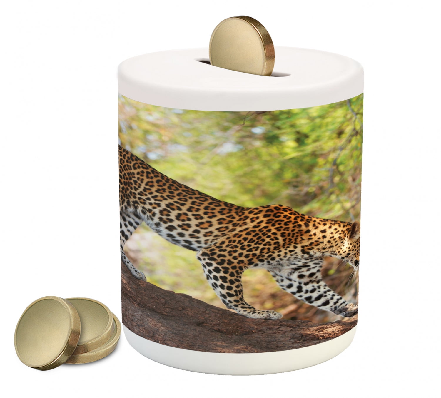 Zoo Piggy Bank, Leopard Panthera Pantus on Tree Nature Reserve Botswana ...