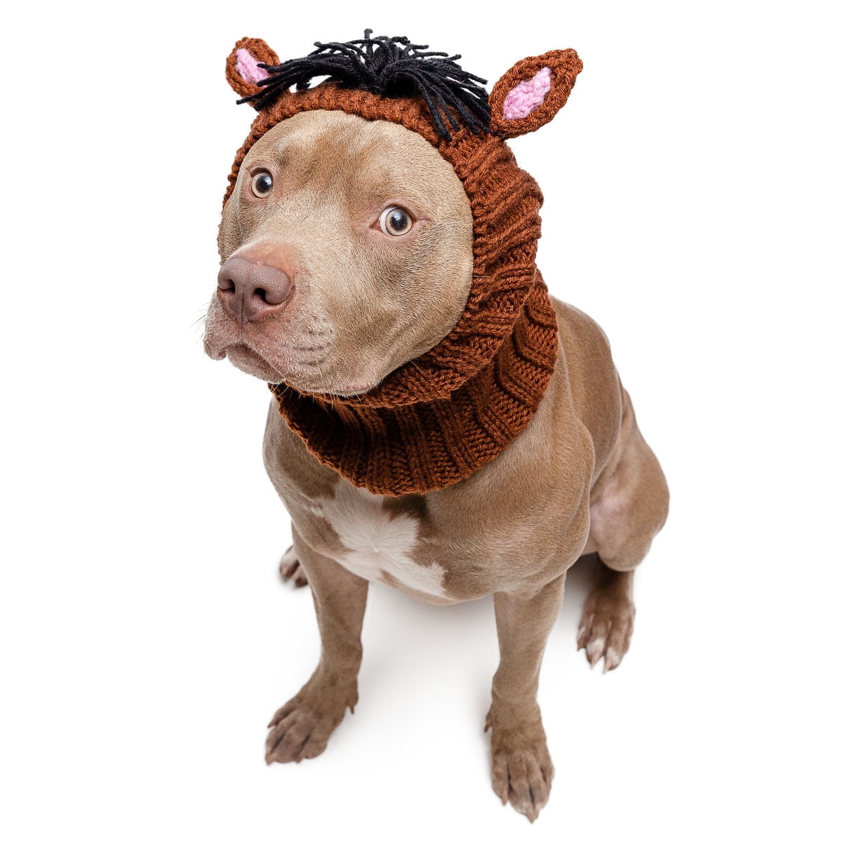 Zoo Snoods Horse Costume - Warm Knit Dog Snood Ear Wrap for Pets, Warm ...