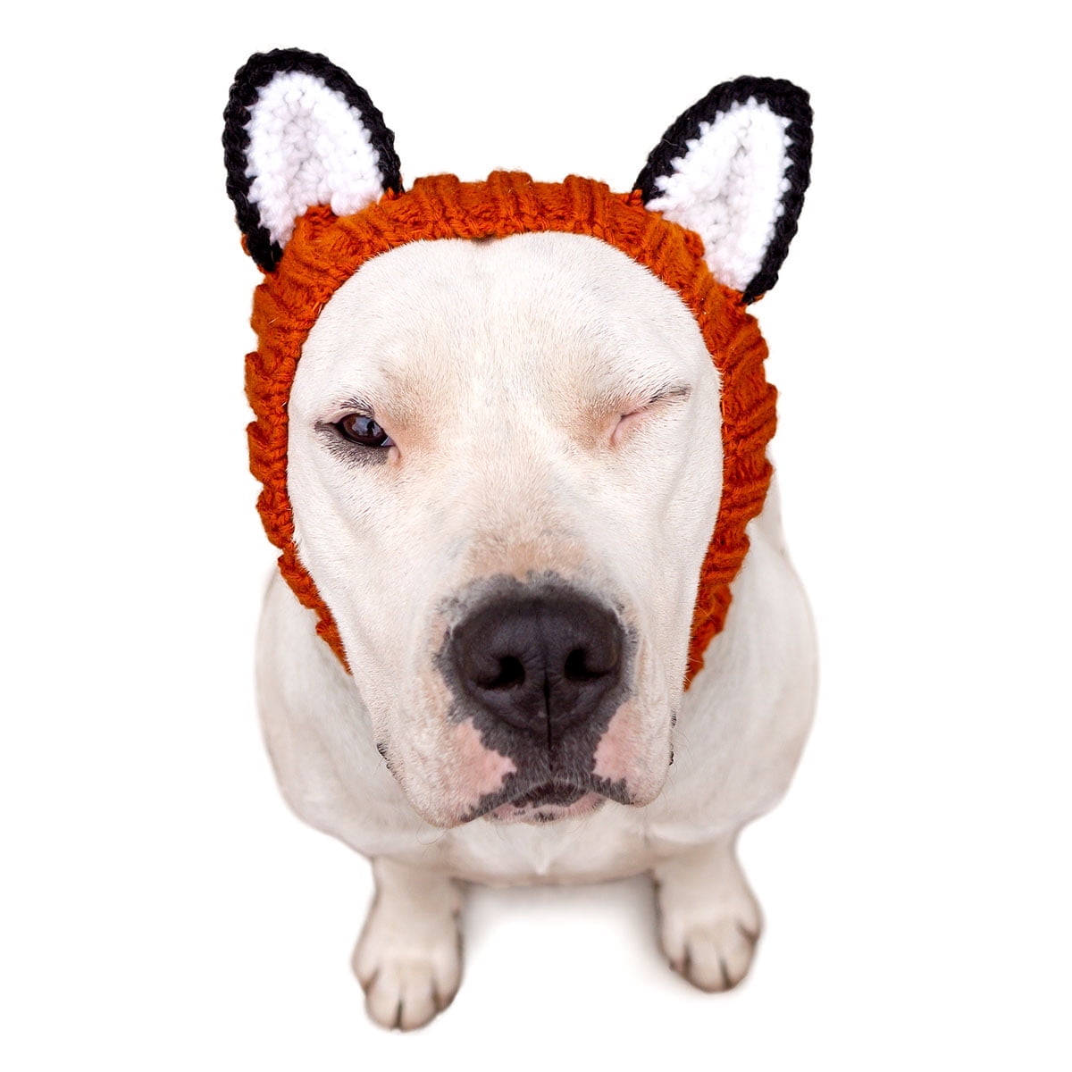 Zoo Snoods Fox Costume - Warm Knit Dog Snood Ear Wrap for Pets, Warm ...