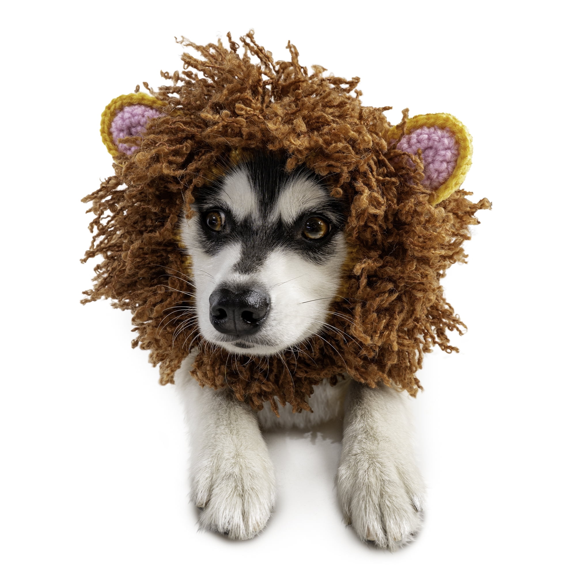 Zoo Snoods Lion Costume - Warm Knit Dog Snood Ear Wrap for Pets, Warm ...