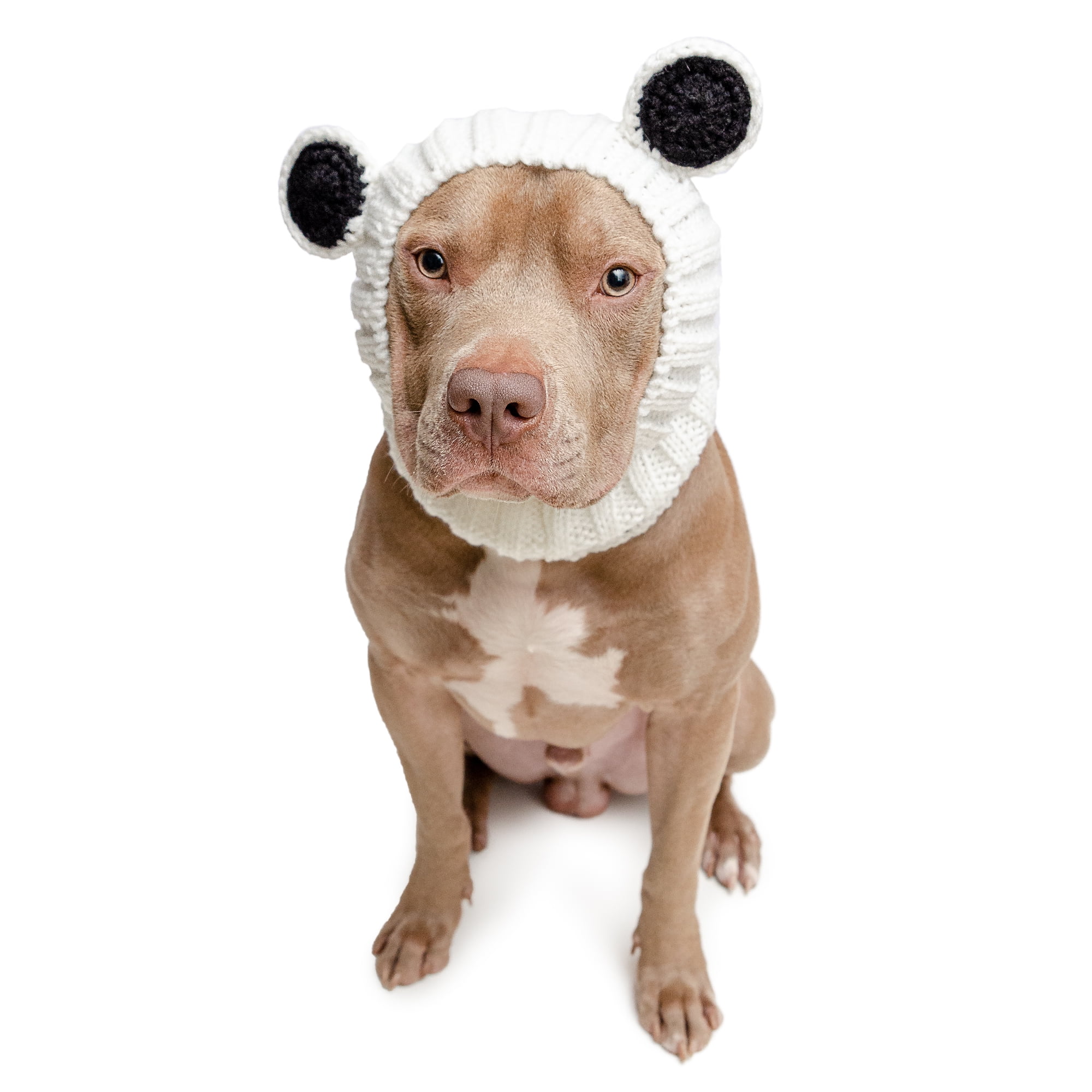 Zoo Snoods Panda Costume - Warm Knit Dog Snood Ear Wrap for Pets, Warm ...