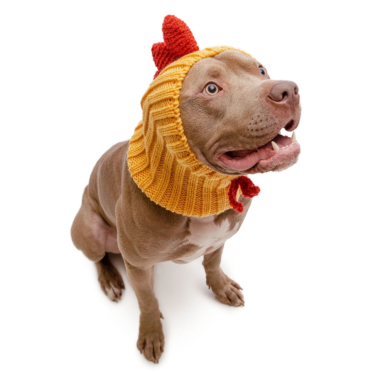 Zoo Snoods Rooster Chicken Costume - Warm Knit Dog Snood Ear Wrap for ...