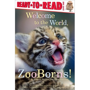 Zooborns Zoo Babies from Around the Worl (Board Book) - Walmart.com