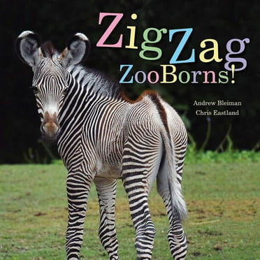 ZooBorns: Snuggle Up, ZooBorns! : Ready-to-Read Level 1 (Paperback) - Walmart.com