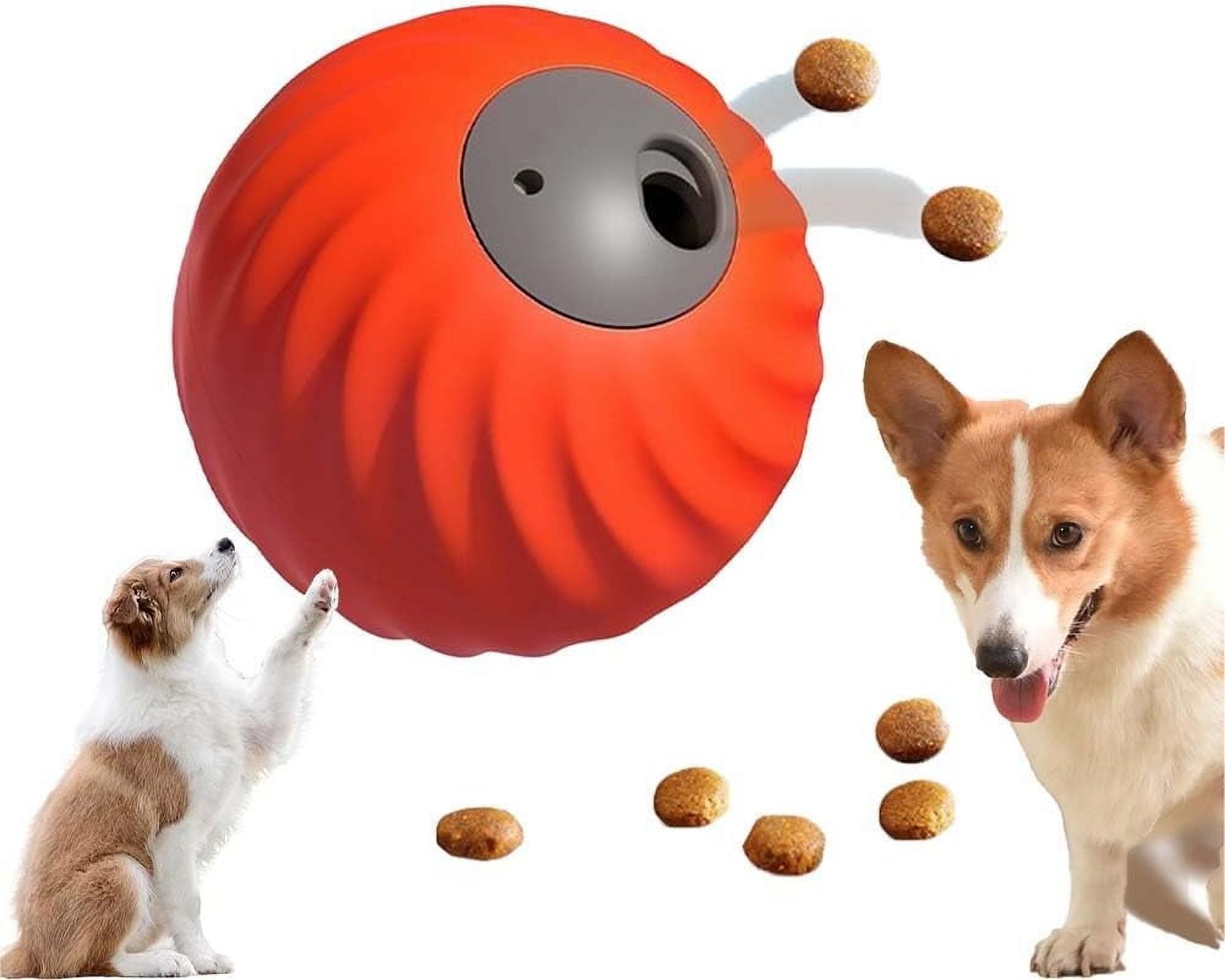 Zoomie Buddy 2.0, Zoomie Buddy Ball,, 2 in 1 Interactive Dog Balls ...