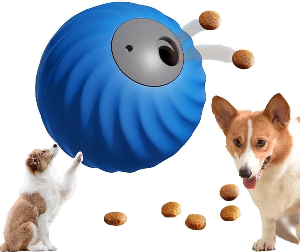 Zoomie Buddy 2.0, Zoomie Buddy Ball,, 2 in 1 Interactive Dog Balls ...