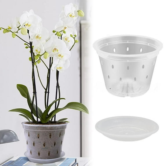 Zoowood Orchid Pots with Holes Clear Plant Pots with Drainage Orchid ...