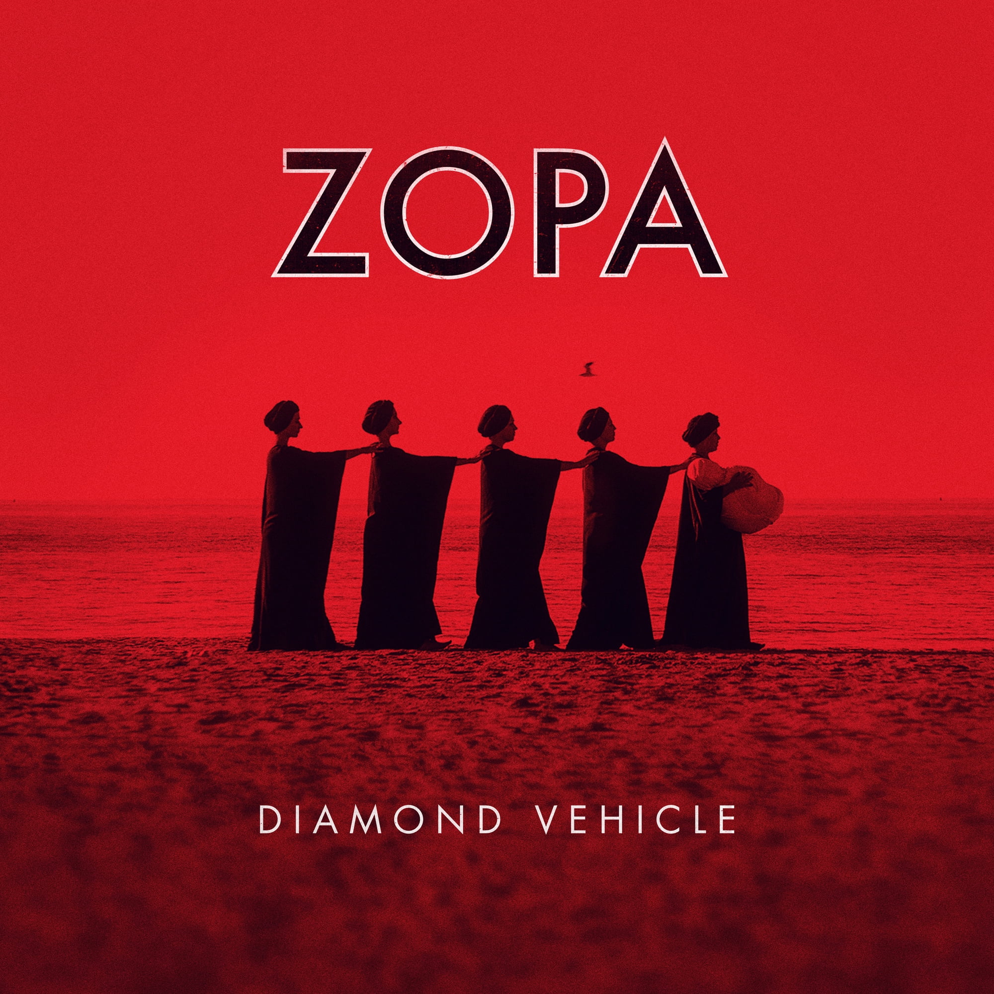 Zopa - Diamond Vehicle - Music & Performance - Vinyl - Walmart.com