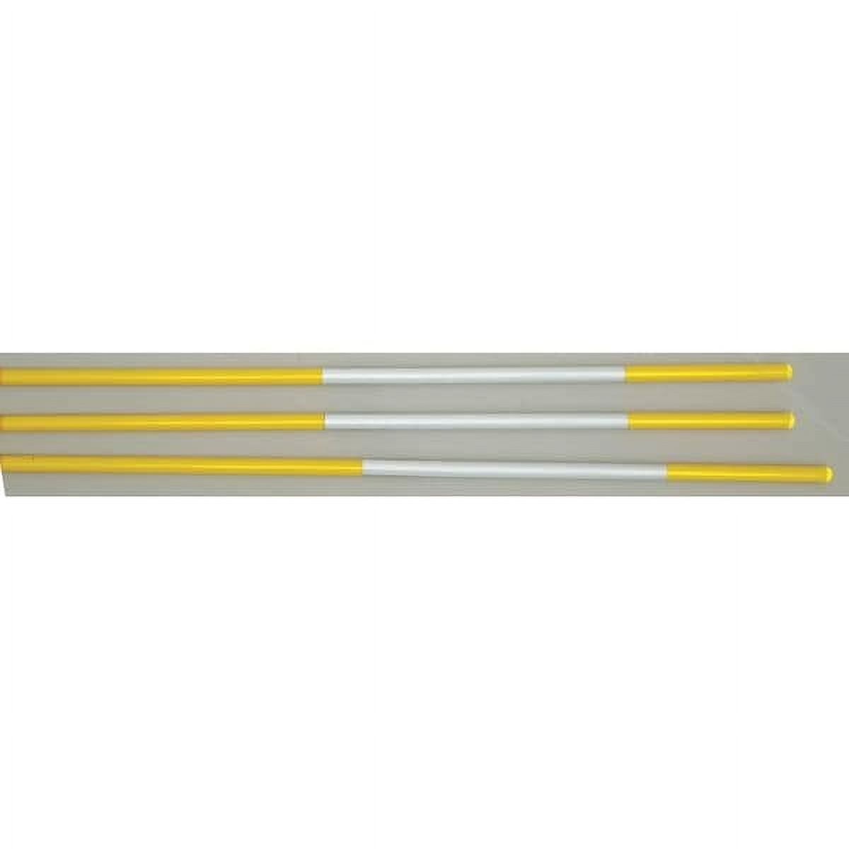 Manufacturer Varies Property Markers,4 ft,PK12 DM650 - Walmart.com