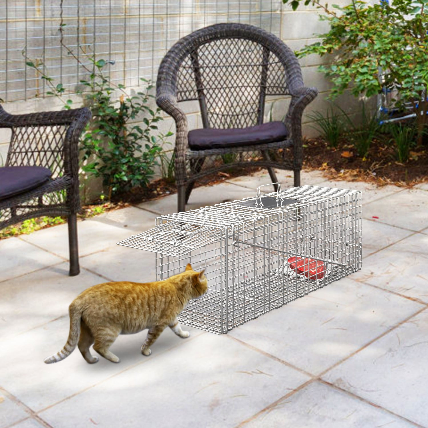 Zorpupoa 1Pc Cat Trap for Stray Cats Humane Cat Cage Catch Release Live ...