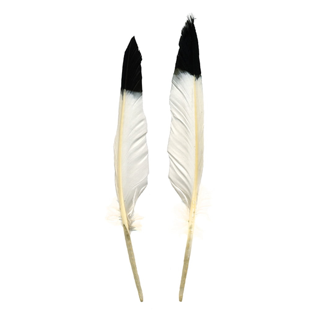 Zucker Feather Products Duck Pointers Tipped - 5-9" - Imitation Eagle ...