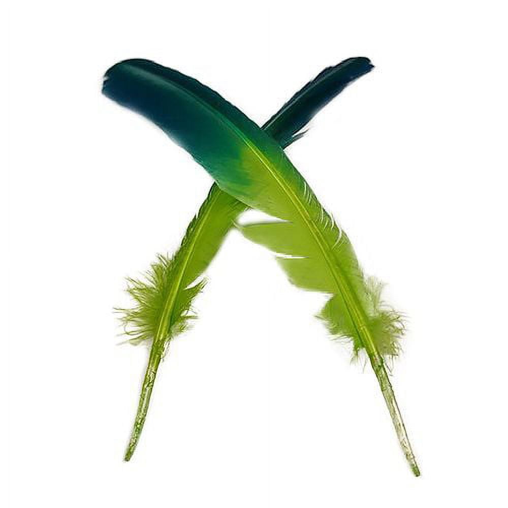 Zucker Ombré Turkey Quill Feathers 10-12” 2 pc - Dark Turquoise - Lime ...