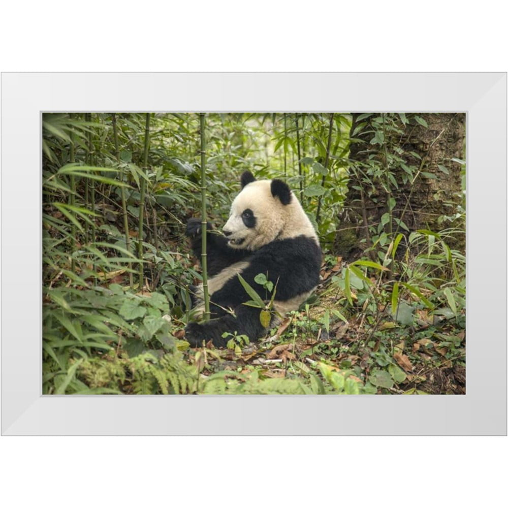 Zuckerman, Jim 14x11 White Modern Wood Framed Museum Art Print Titled ...