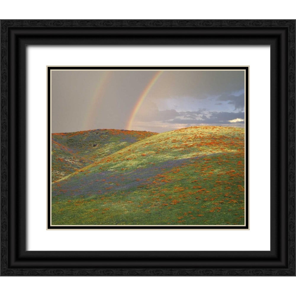 Zuckerman, Jim 14x12 Black Ornate Wood Framed with Double Matting ...