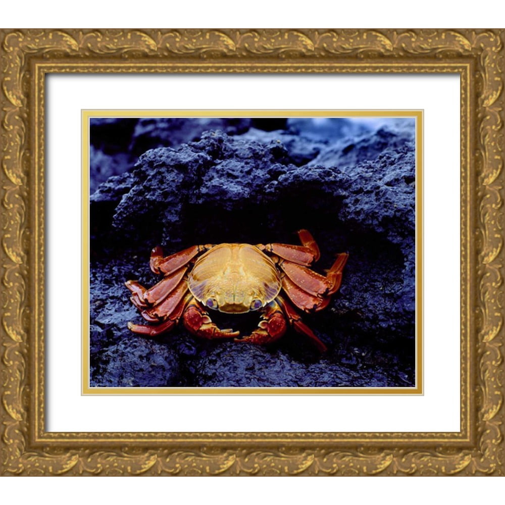 Zuckerman, Jim 17x15 Gold Ornate Wood Framed with Double Matting Museum ...