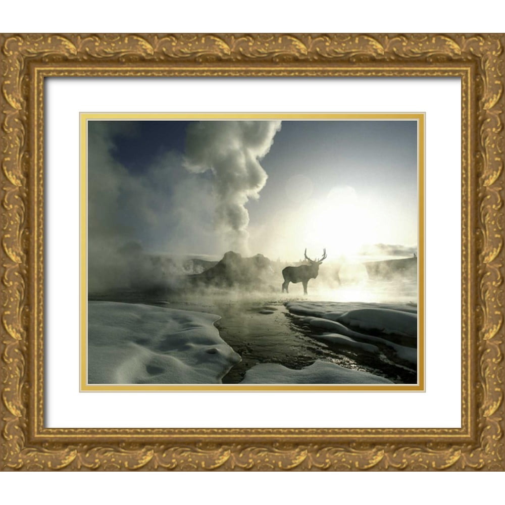 Zuckerman, Jim 18x15 Gold Ornate Wood Framed with Double Matting Museum ...