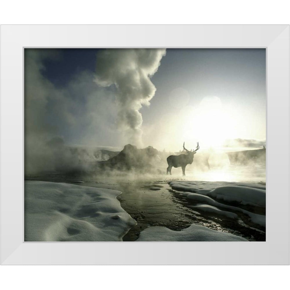 Zuckerman, Jim 18x15 White Modern Wood Framed Museum Art Print Titled ...