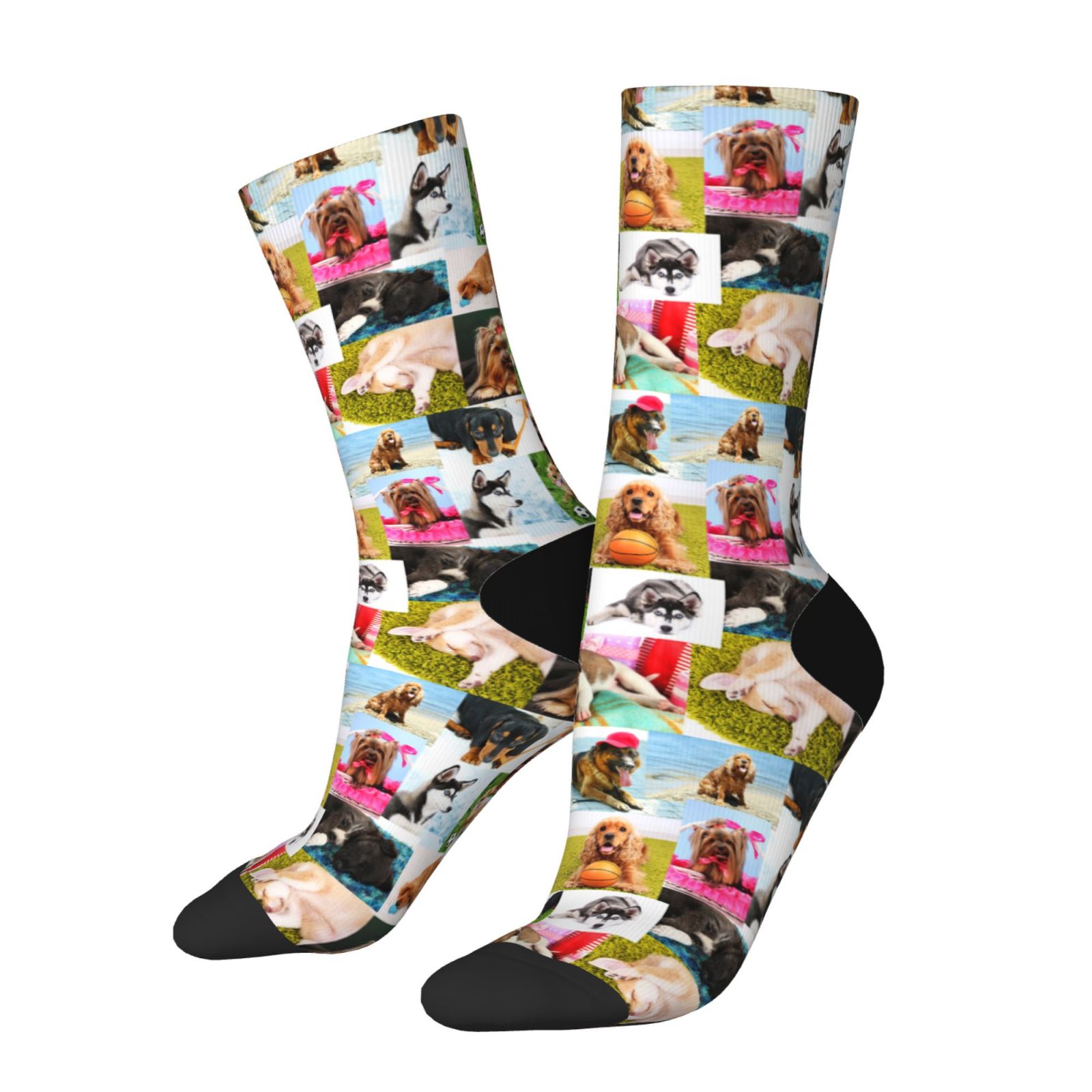 Zufioo Collage of pretty dogs Thigh High Socks,Knee High Socks For ...