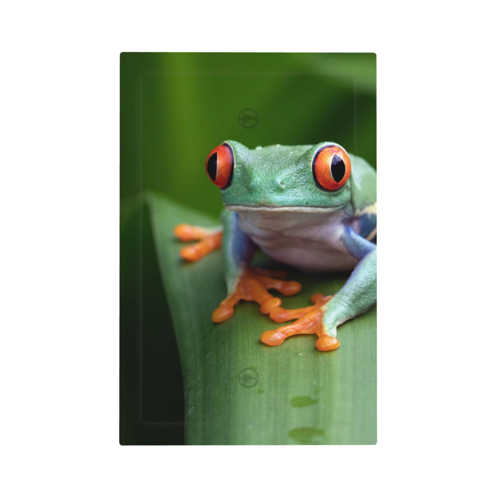 Zufioo Red-Eyed Tree Frog Print Switch Wall Plate, Dustproof and Heat ...