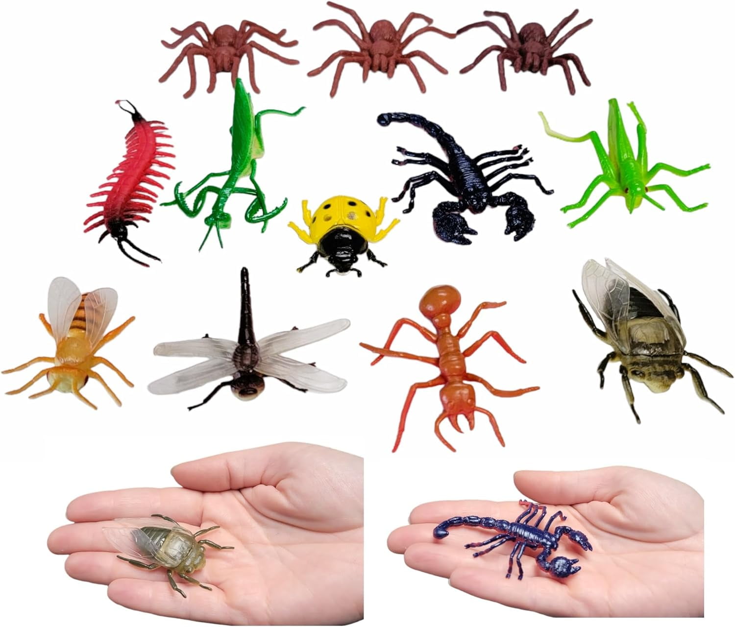Zugar Land Insect Explorers Large Insect Set, 12 Pack - Walmart.com