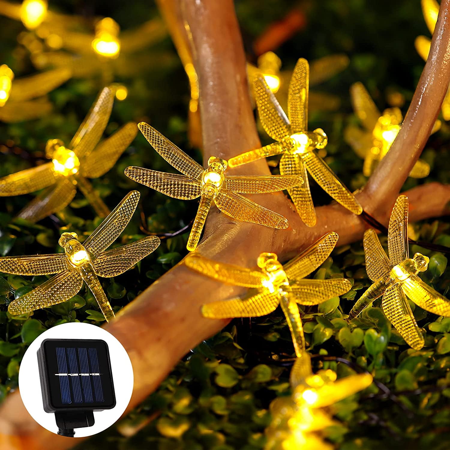 Zukuco Solar String Lights, Dragonfly Solar String Lights Outdoor, 30 ...
