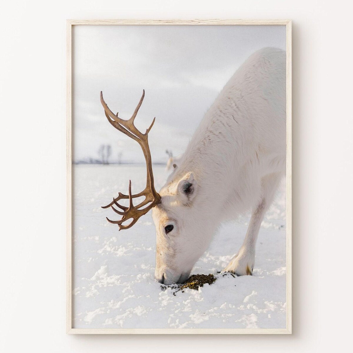 Zuno White Reindeer , Winter Theme Wall Art, Christmas Wall Decor ...