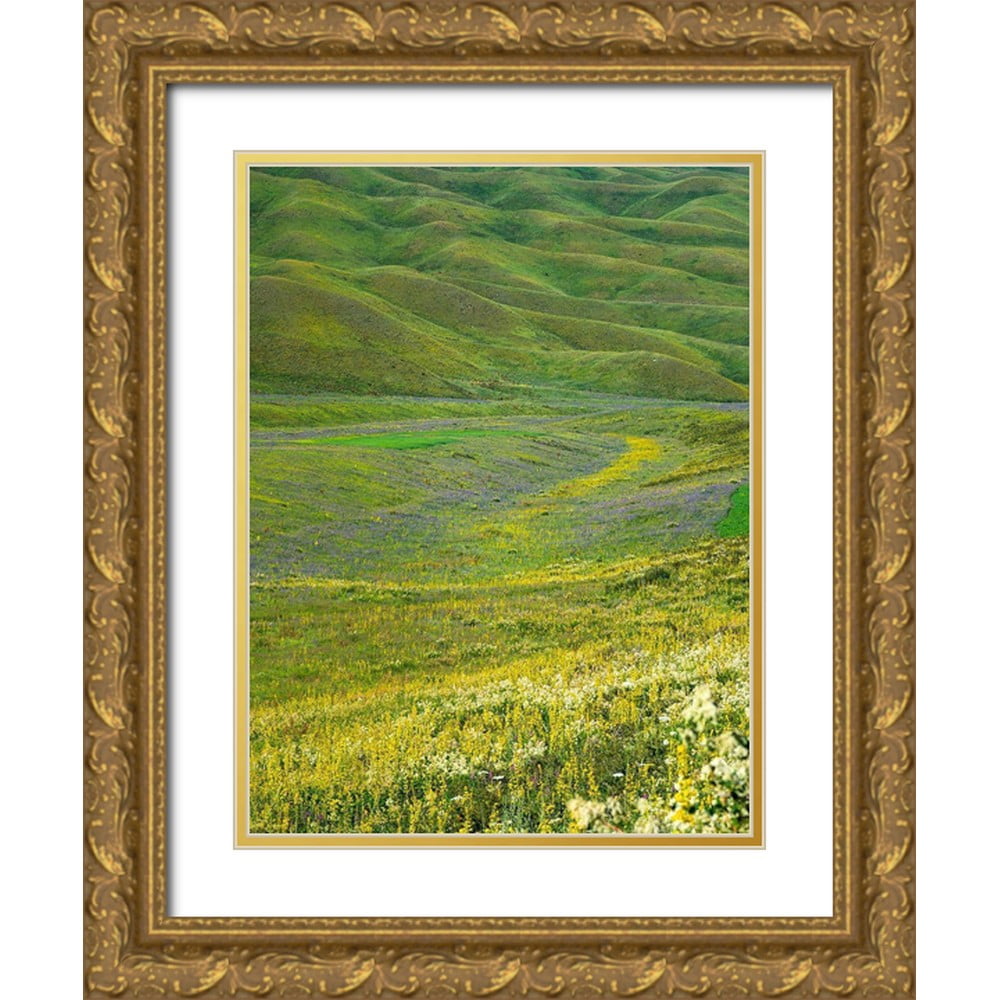 Zwick, Martin 12x14 Gold Ornate Wood Framed with Double Matting Museum ...