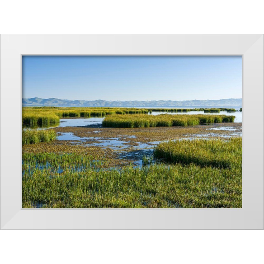 Zwick, Martin 14x11 White Modern Wood Framed Museum Art Print Titled ...