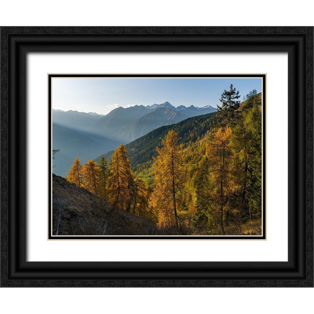 Zwick, Martin 14x12 Black Ornate Wood Framed with Double Matting Museum ...