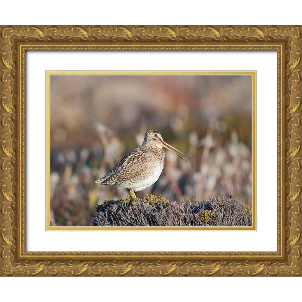 Zwick, Martin 14x12 Gold Ornate Wood Framed with Double Matting Museum ...