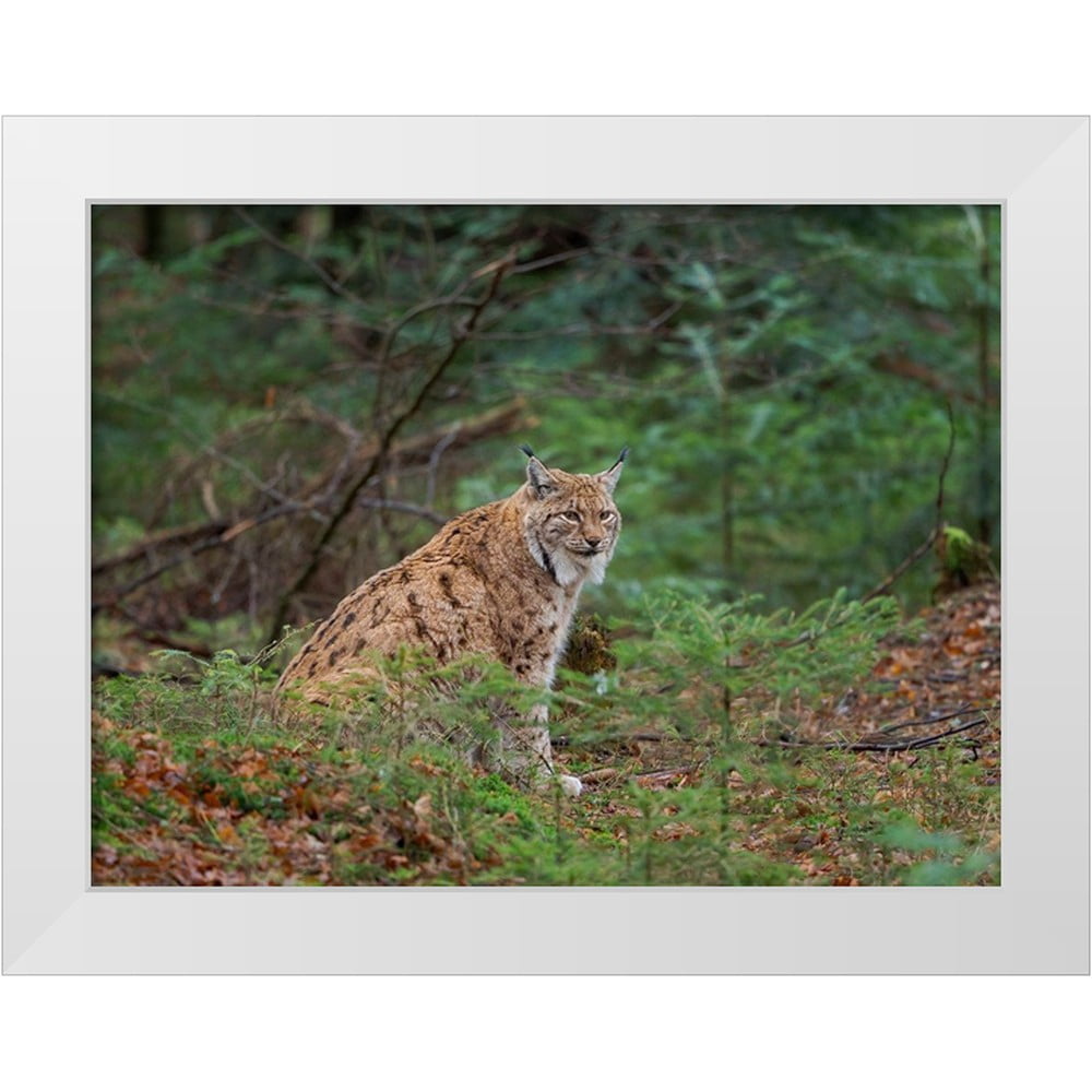 Zwick, Martin 14x12 White Modern Wood Framed Museum Art Print Titled ...