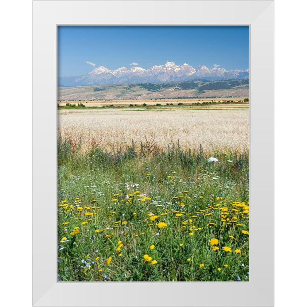 Zwick, Martin 15x18 White Modern Wood Framed Museum Art Print Titled ...