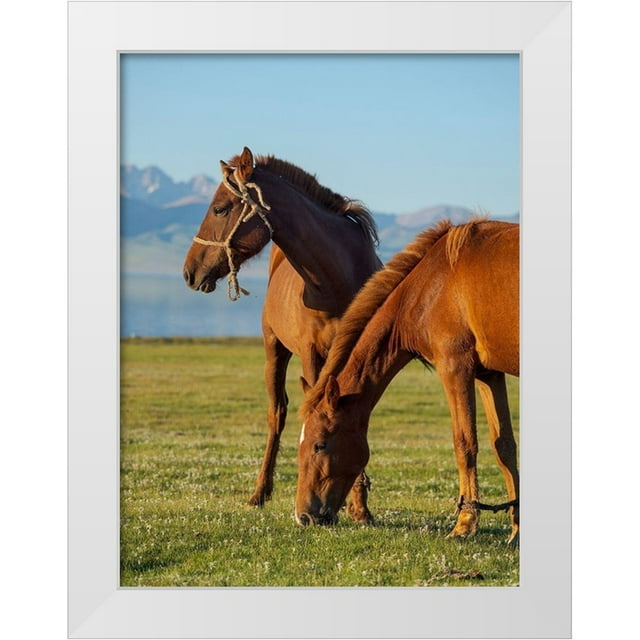 Zwick, Martin 19x24 White Modern Wood Framed Museum Art Print Titled ...