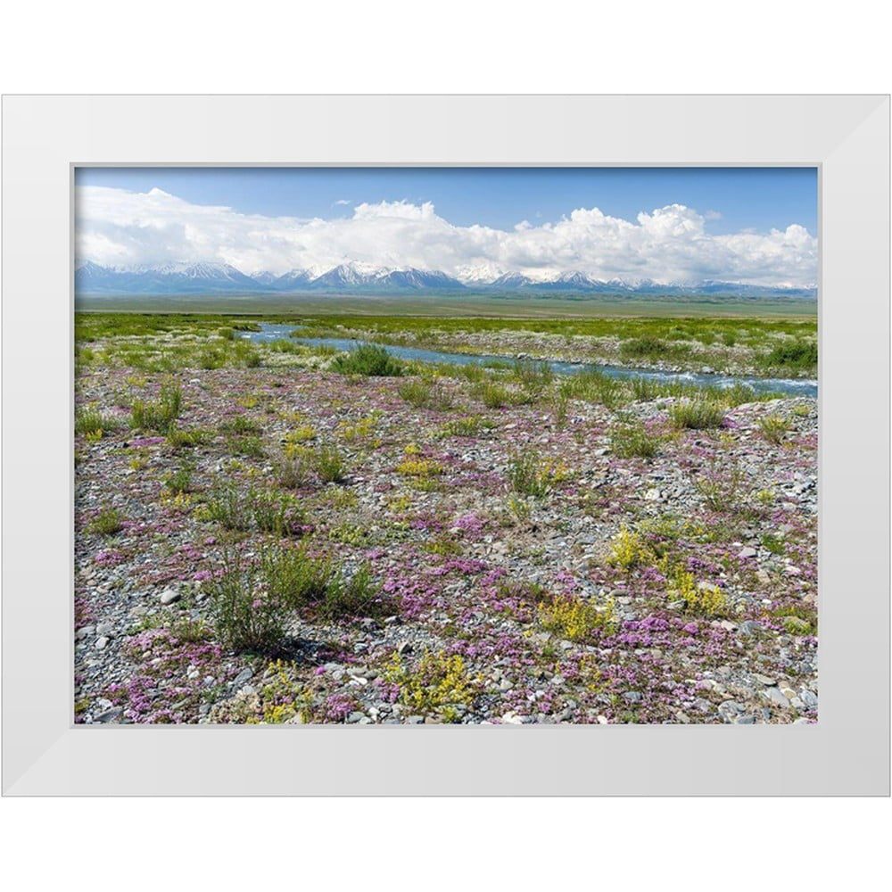Zwick, Martin 24x19 White Modern Wood Framed Museum Art Print Titled ...