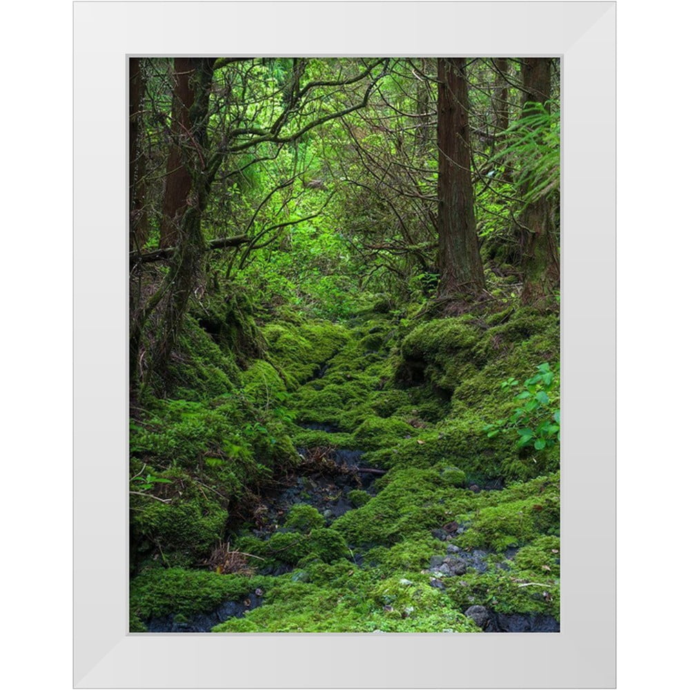 Zwick, Martin 25x32 White Modern Wood Framed Museum Art Print Titled ...