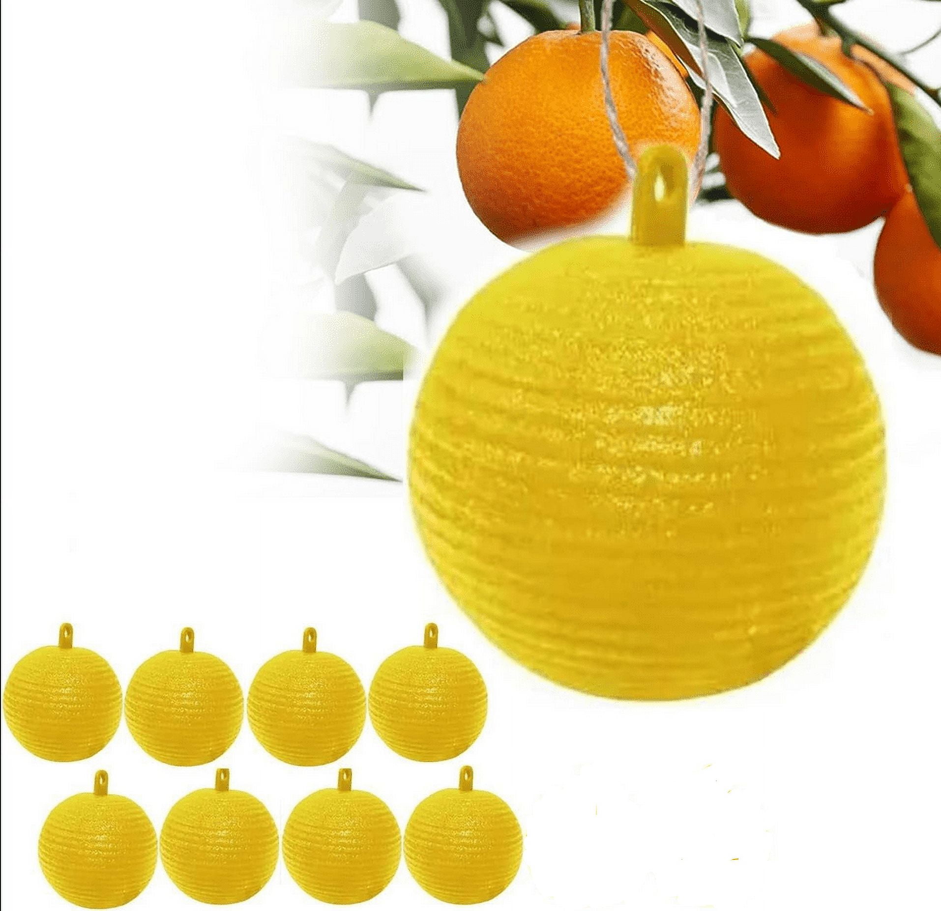 Zwidao 8 Pcs Sticky Fruit Fly Trap Ball Adhesive Fly Catching Ball ...