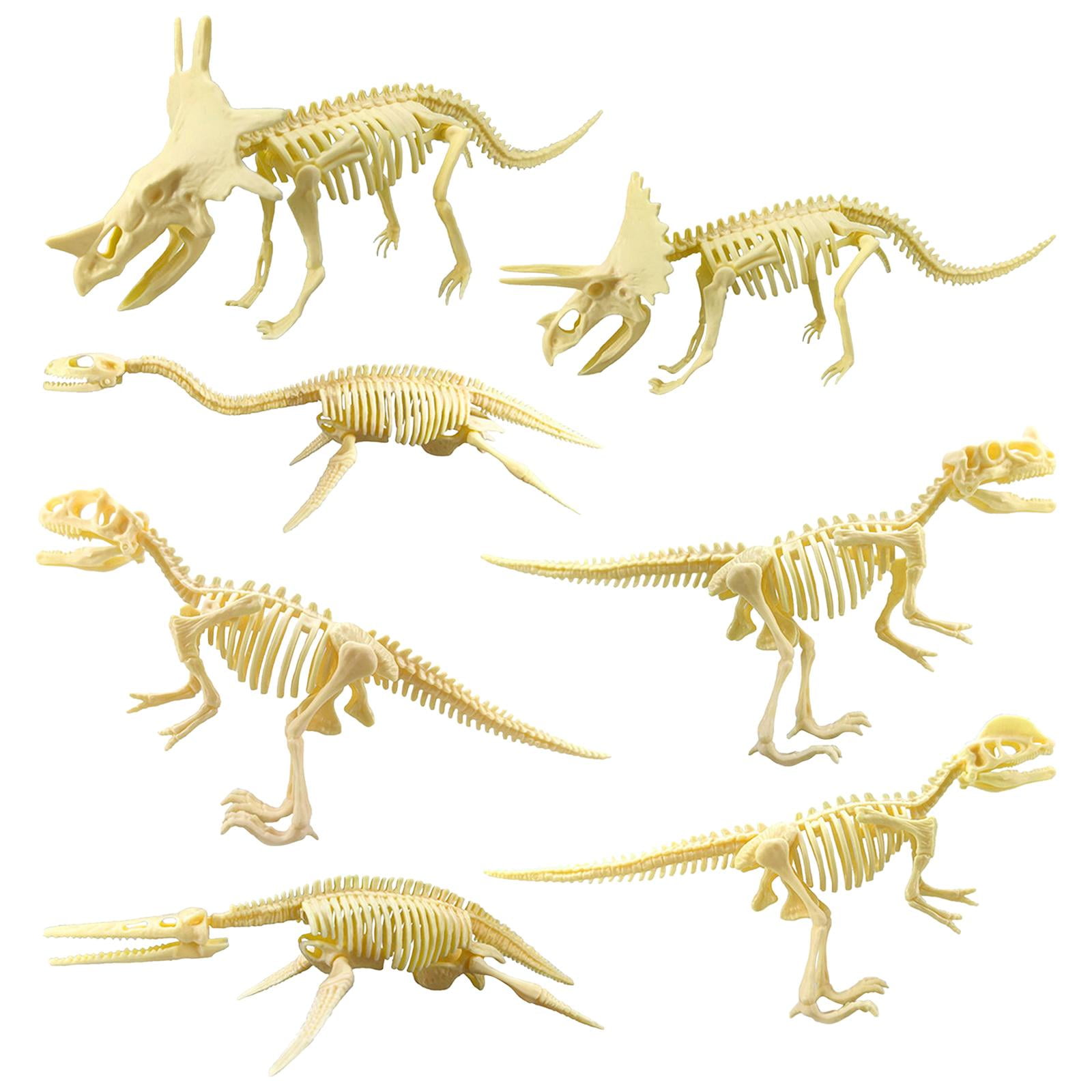 Zxpjkyu 7Pcs Realistic Dinosaur Skeleton Toys Dino Bones Figures ...