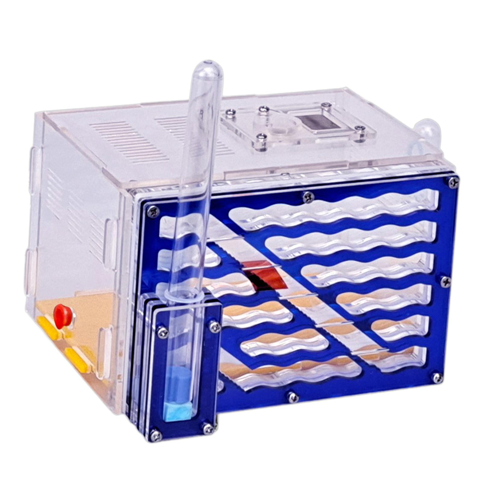 Zxpjkyu ANT Housing Nest DIY ANT Breeding Case for Tabletop Childrens ...