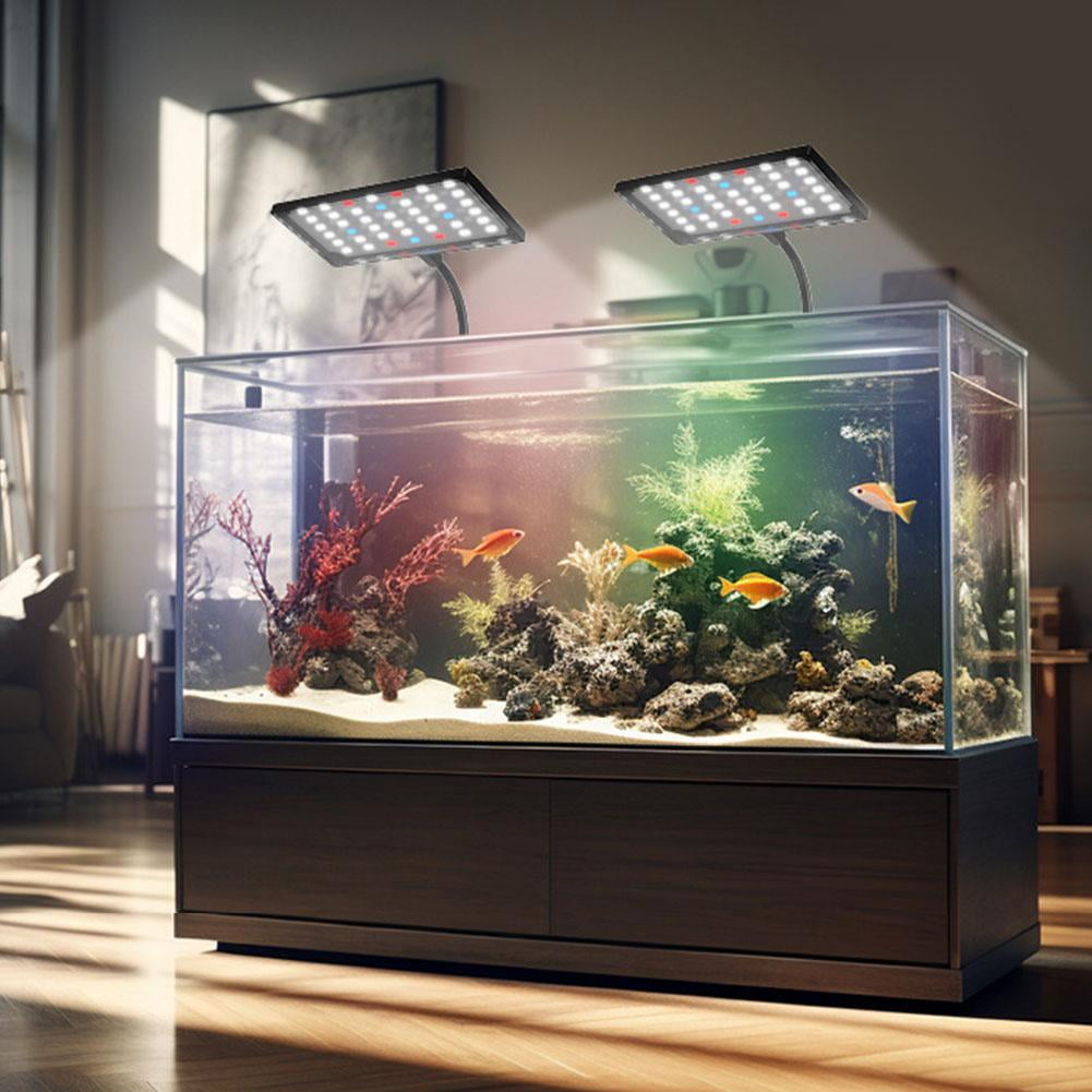 Zy-A6-Dimming And Color Changing-Usb Ordinary Model + Adapter---Us ...