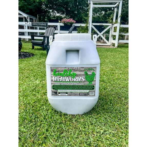 Zylina 20lb Bucket Healthy Mealworms for Chickens - Walmart.com