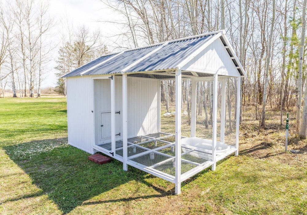 Zylina Modern Duck Barn - Spacious Duck Coop with Raised Wire Floor and ...