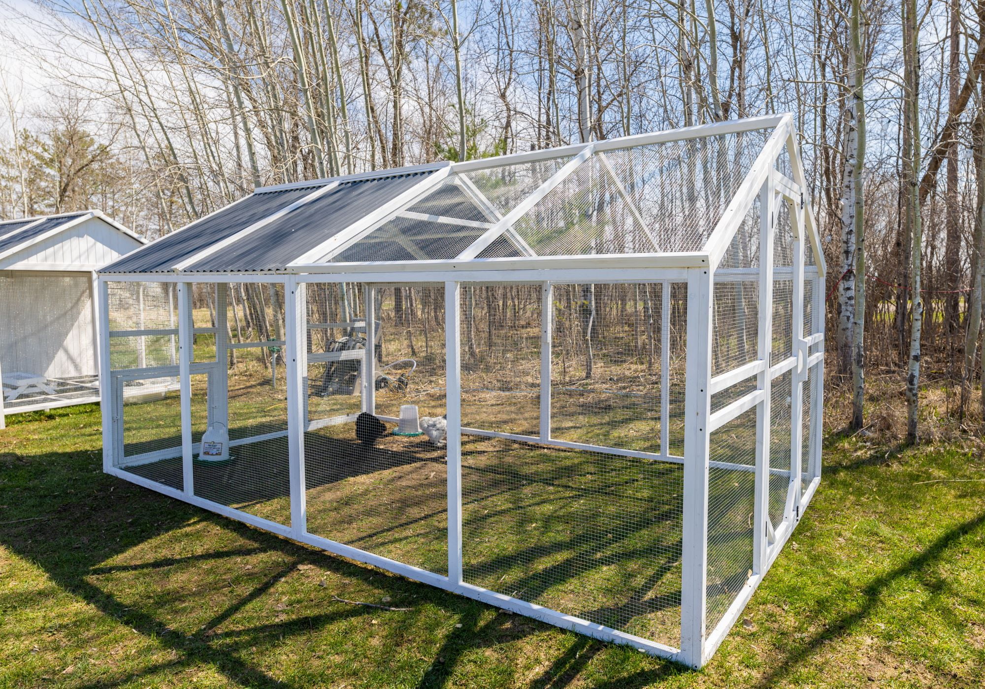 Zylina Modern Universal Poultry Pen - Free Range Chicken Coop & Hen Run ...
