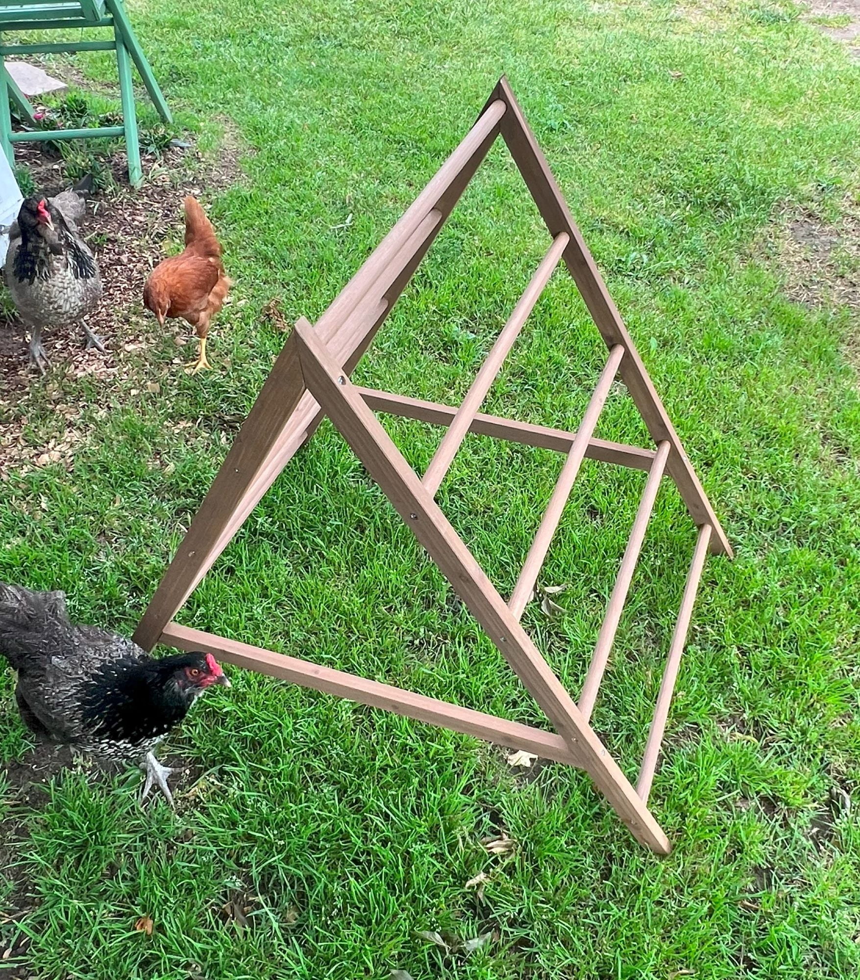 Zylina Chicken Exercise Play-N-Roost Activity Center for Chicks with 9 ...