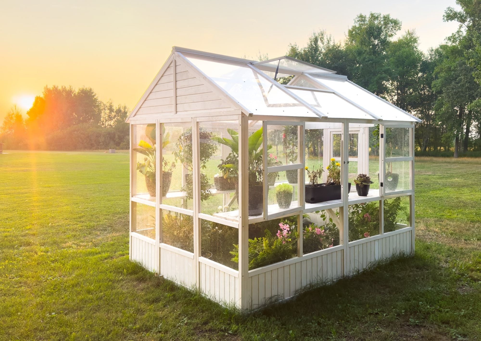 Zylina XL Hobby Greenhouse...Perfect for The Backyard Gardener ...