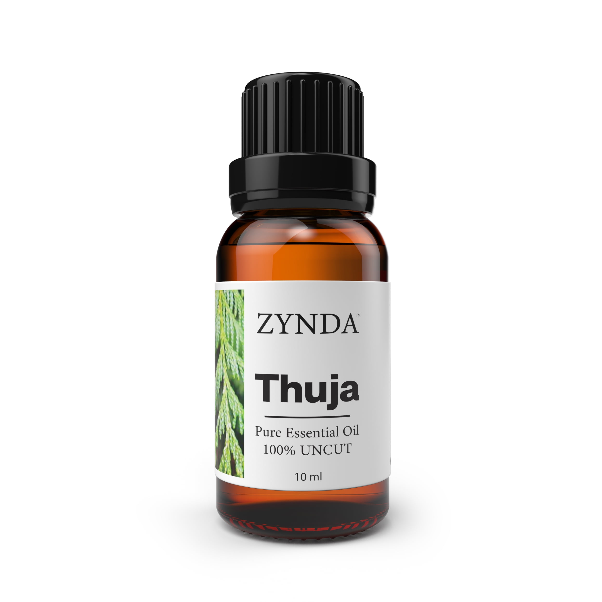 Zynda 100% Natural Thuja Essential Oil for Respiratory Stimulation ...