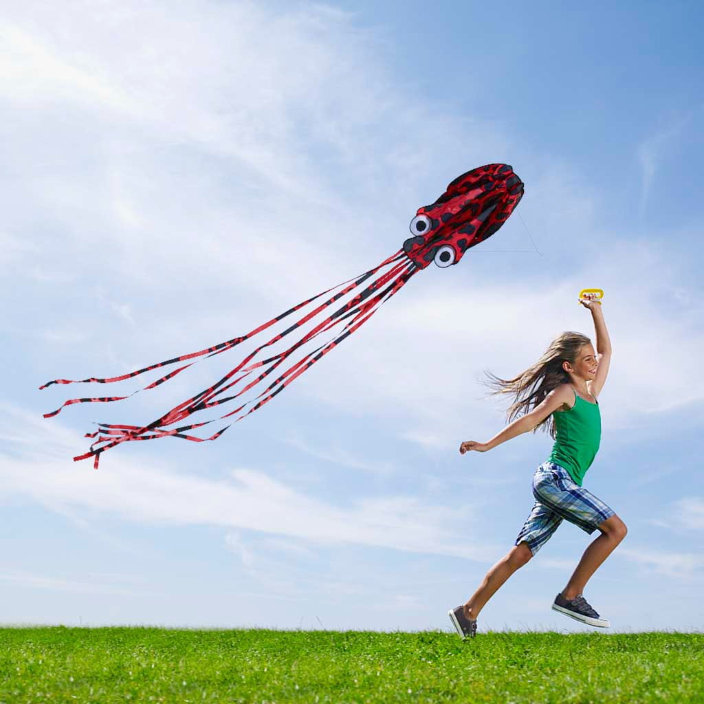 Zyooh Large Long Tail Beach Kites- Toy for Kids and Adults Outdoor Game ...