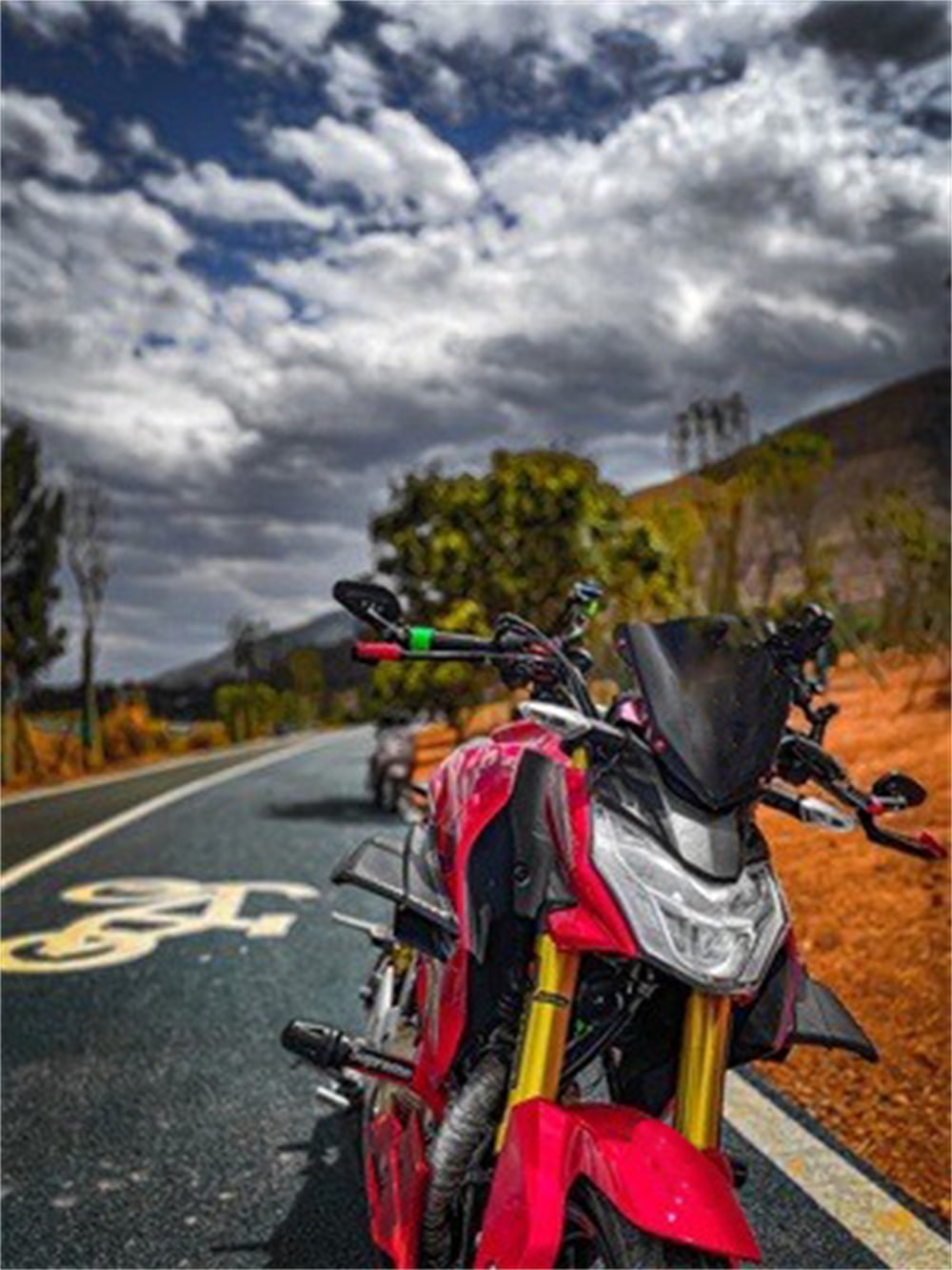 Zyutaosan Universal Motorcycle Side Glossy Carbon Fiber Look Forged ...