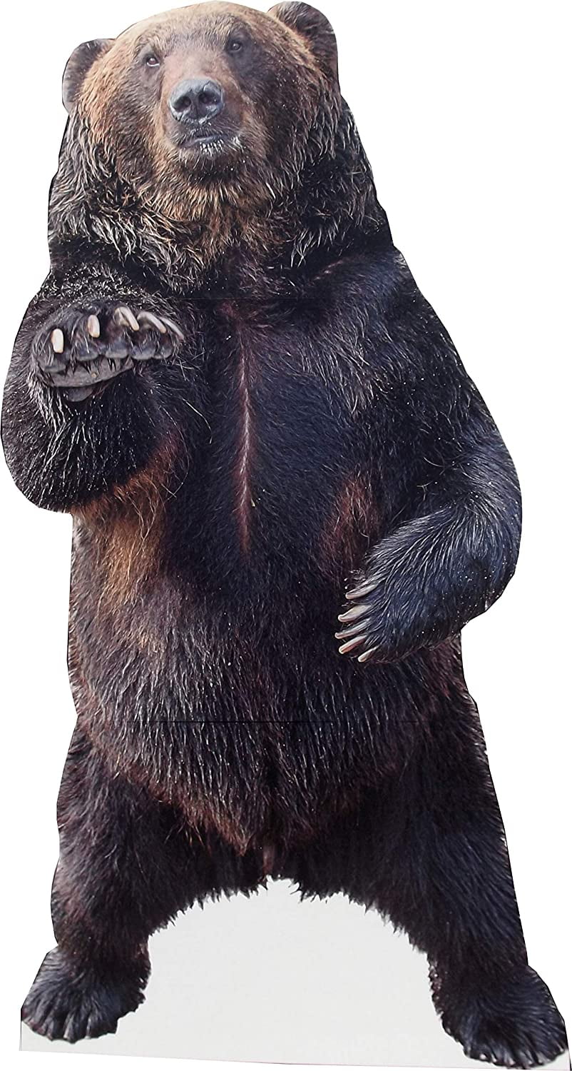 aahs!! Engraving Animal Life Size Cardboard Cutout Stand Up | Standee ...